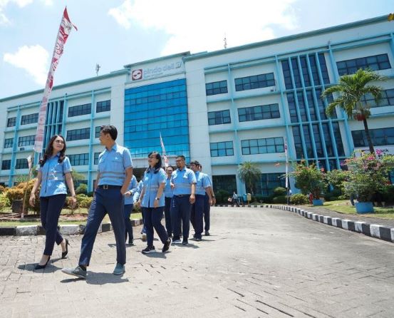 Mengenal Pindo Deli Pulp and Paper Mills, Anak Perusahaan Sinarmas ...