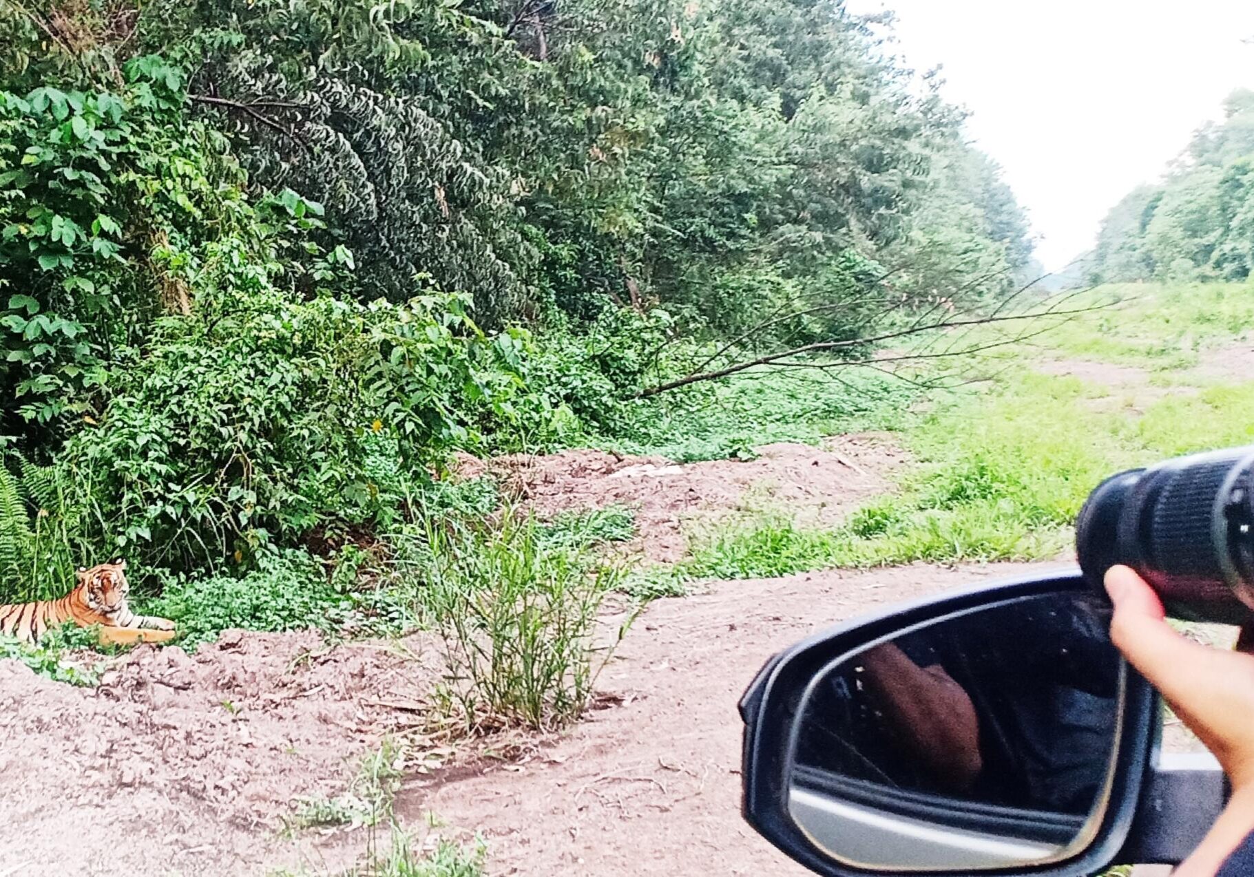 APPSinarmas Pastikan Keseimbangan Flora Dan Fauna – EGINDO APPSinarmas Pastikan Keseimbangan Flora Dan Fauna – EGINDO